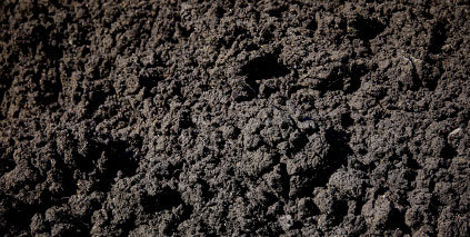 Sewage sludge recycling // REMONDIS Aqua